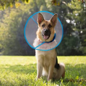 Adjustable Pet Recovery Collar Cat Cone, US Patented Product Soft Edge Plastic Dog Cone Anti-Bite Lick Wound Healing Safety Practical Protective E-Collar