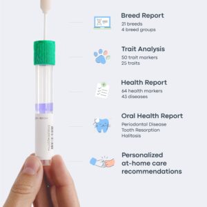 Basepaws Cat DNA Test Kit - Comprehensive Breed, Health and Dental Analysis Across 114 Traits for Accurate and Easy-to-Use Genetic Insights