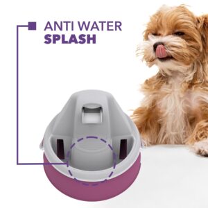 Aqua Flow Premium Pet Water Fountain - Automatic Dispenser Drinking Bowl for Cats and Dogs - Anti-Hair Drainage System - Replaceable Filters - Ideal for Multiple Pets - 52 up to 120 fl oz - Gray