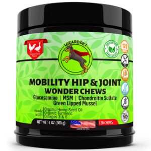 wizardpet advanced hemp hip and joint supplement for dogs - hemp oil glucosamine chondroitin for dog - omegas - turmeric - msm - green lipped mussel, made in usa treats support mobility - 120 chews