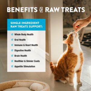 Northwest Naturals Raw Rewards Freeze-Dried Minnow Treats for Dogs and Cats - Bite-Sized Pieces - Healthy, 1 Ingredient, Human Grade Pet Food, All Natural - 1 Oz