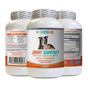 Dog Joint glucosamine - Pets Joint Support with Turmeric and MSM - Dogs and Cats - Premium Complex - Joint Supplements for Dogs with Turmeric - 1 Bottle (60 Tablets)