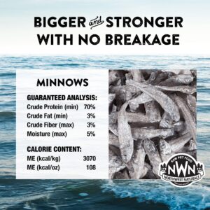 Northwest Naturals Raw Rewards Freeze-Dried Minnow Treats for Dogs and Cats - Bite-Sized Pieces - Healthy, 1 Ingredient, Human Grade Pet Food, All Natural - 1 Oz