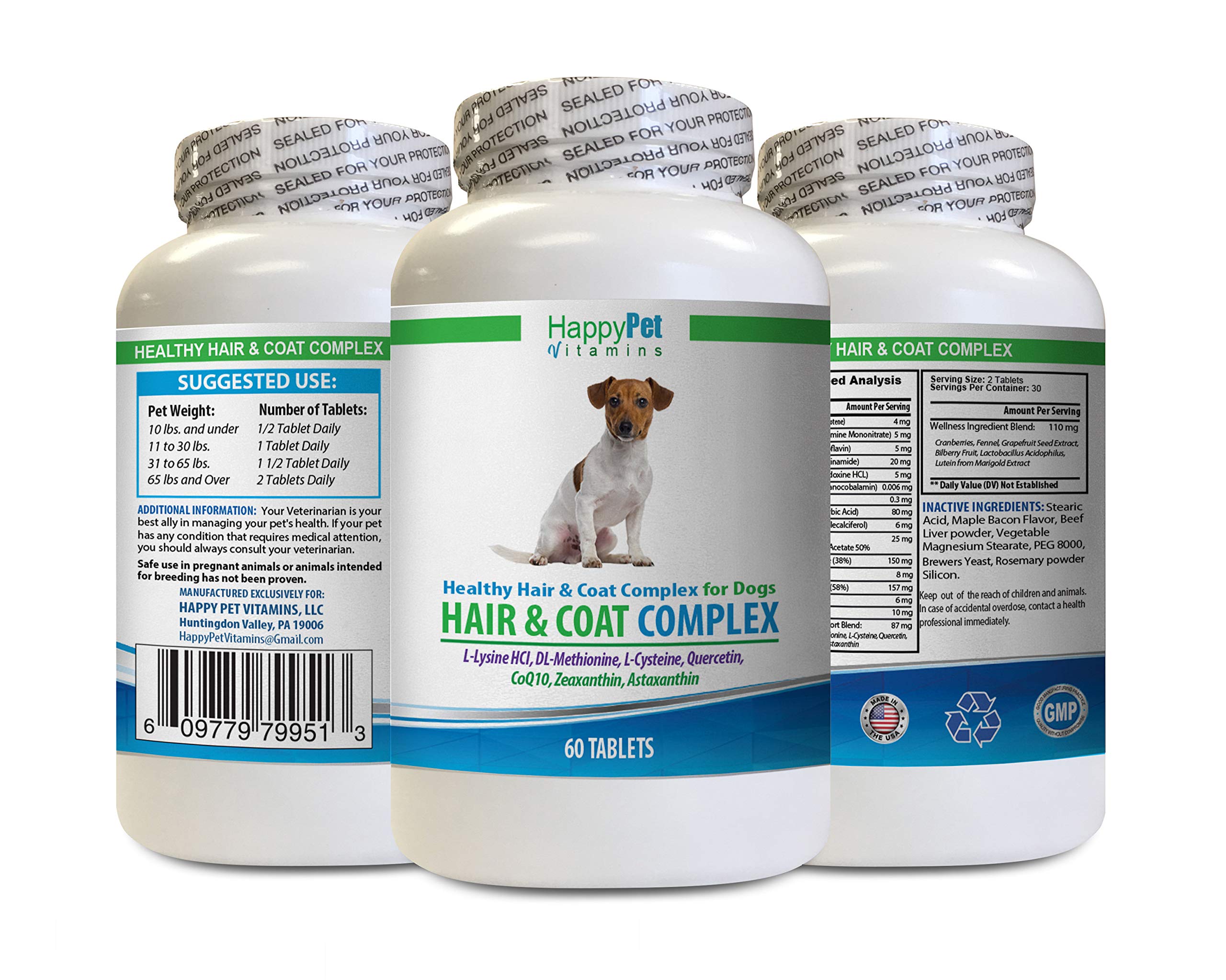 Dog Immune Vitamins - Dog Hair and Coat Health Complex - Healthy Skin and Nails - Itch Relief - Powerful - Dog Vitamins Coat - 60 Treats (1 Bottle)