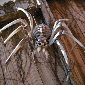 giant halloween skeleton spider for halloween decor, almost 3 feet