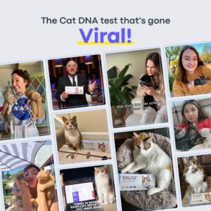 Basepaws Cat DNA Test Kit - Comprehensive Breed, Health and Dental Analysis Across 114 Traits for Accurate and Easy-to-Use Genetic Insights