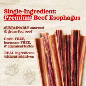 Natural Farm Gullet Sticks (6 Inch, 25 Pack), Grain-Free, Preservative-Free & Fully Digestible Beef Esophagus – Gentle Yet Effective Fun - Best for Light, Pups & Senior Chewers