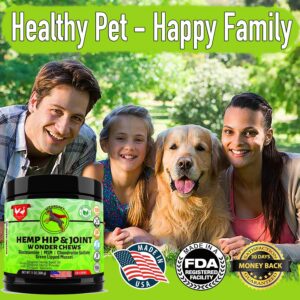 WIZARDPET Advanced Hemp Hip and Joint Supplement for Dogs - Hemp Oil Glucosamine Chondroitin for Dog - Omegas - Turmeric - MSM - Green Lipped Mussel, Made in USA Treats Support Mobility - 120 Chews