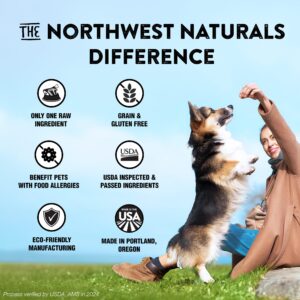 Northwest Naturals Raw Rewards Freeze-Dried Minnow Treats for Dogs and Cats - Bite-Sized Pieces - Healthy, 1 Ingredient, Human Grade Pet Food, All Natural - 1 Oz