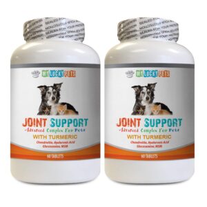 Dog Joint Rescue - Pets Joint Support with Turmeric and MSM - Dogs and Cats - Premium Complex - Dog Hip and Joint Supplement Turmeric - 2 Bottles (120 Tablets)