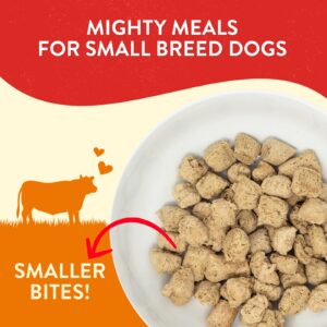 Stella & Chewy's Freeze-Dried Raw Lil' Bites Itty Bitty Beef Recipe Small Breed Dog Food, 7 oz. Bag (Beef)