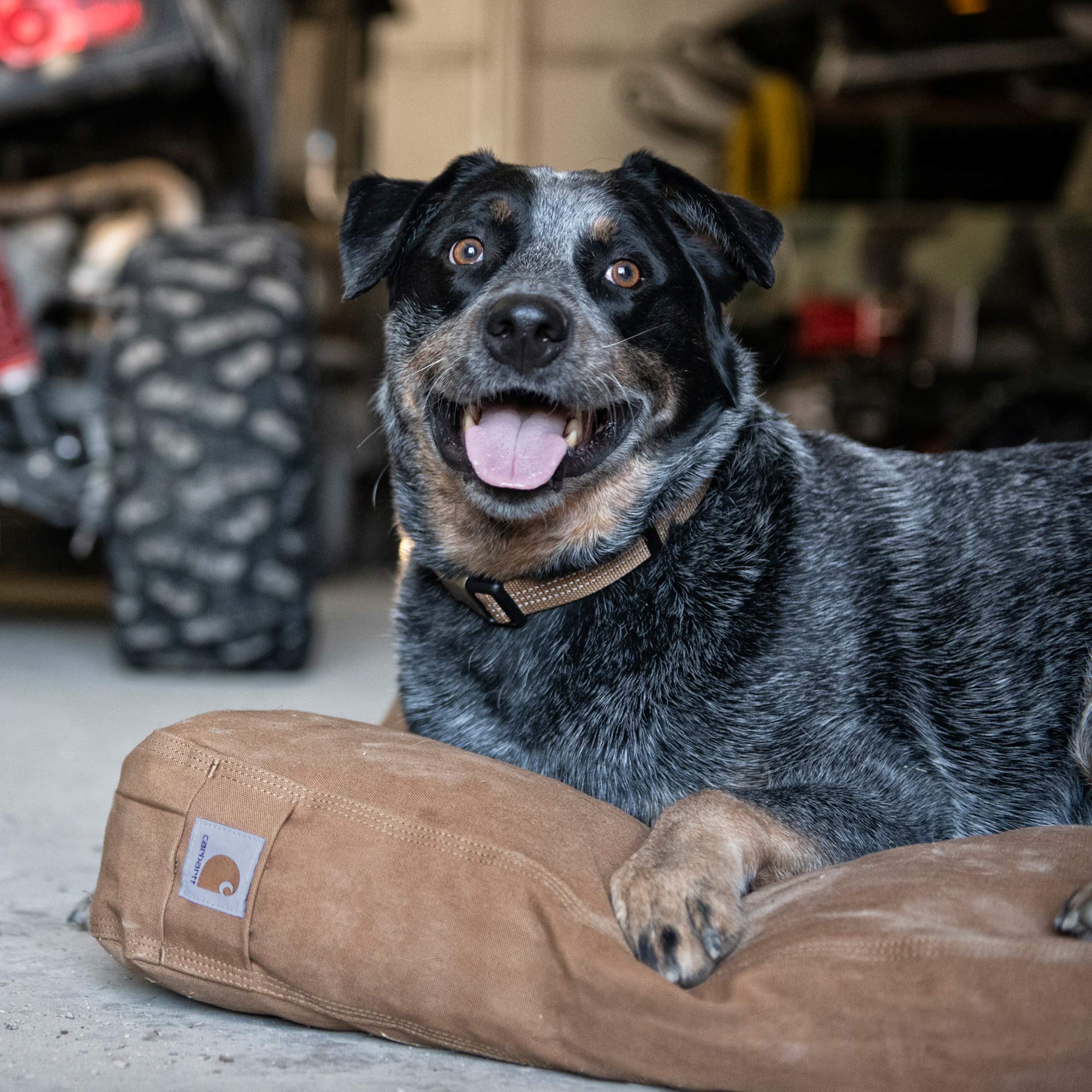 Carhartt Gear P0000273 Large Pet Bed - One Size Fits All - Dark Brown, 28.0"L x 20.0"W x 4.3"Th