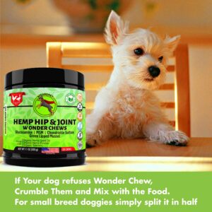 WIZARDPET Advanced Hemp Hip and Joint Supplement for Dogs - Hemp Oil Glucosamine Chondroitin for Dog - Omegas - Turmeric - MSM - Green Lipped Mussel, Made in USA Treats Support Mobility - 120 Chews