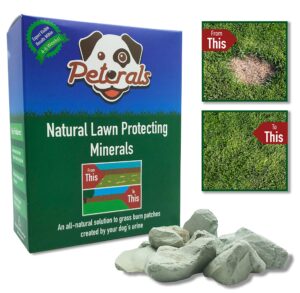 peterals dog wee neutraliser - natural rocks to prevent urine burn patches on lawns - for outdoor use to stop dog pee killing grass