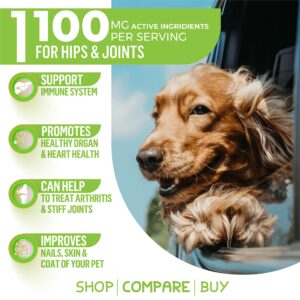 WIZARDPET Advanced Hemp Hip and Joint Supplement for Dogs - Hemp Oil Glucosamine Chondroitin for Dog - Omegas - Turmeric - MSM - Green Lipped Mussel, Made in USA Treats Support Mobility - 120 Chews