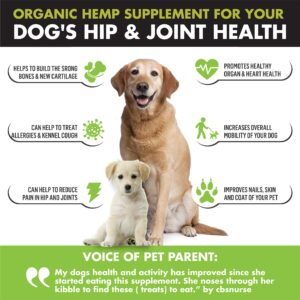 WIZARDPET Advanced Hemp Hip and Joint Supplement for Dogs - Hemp Oil Glucosamine Chondroitin for Dog - Omegas - Turmeric - MSM - Green Lipped Mussel, Made in USA Treats Support Mobility - 120 Chews