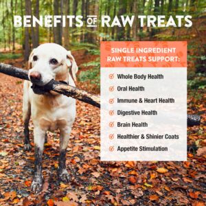 Northwest Naturals Raw Rewards Freeze-Dried Shrimp Treats for Dogs and Cats - Bite-Sized Pieces - Healthy, 1 Ingredient, Human Grade Pet Food, All Natural - 1 Oz