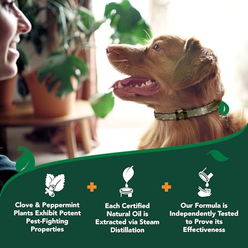 Vet's Best Flea and Tick Repellent Collar for Dogs - Flea and Tick Prevention for Dogs - Plant-Based Ingredients - Small to Large Dog Flea Collar - Up to 20” Neck Size