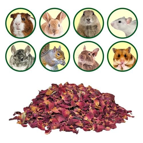 Squirrel Treat Bundle - Natural Healthy Assortment - Fruits, Veggies, Nuts, & Chews - Flying Squirrels, Ground Squirrels, Tree Squirrels, Chipmunks, Groundhogs, Prairie Dogs & Other Rodents