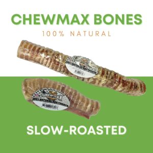 CHEWMAX 6” Trachea Beef Bone Dog Chew