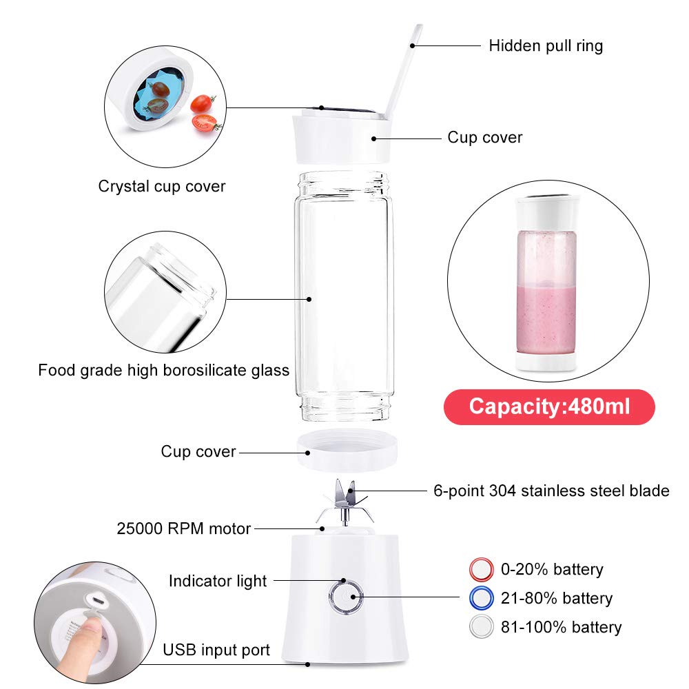 Taillansin 2019 Newest Portable Blender, USB Rechargeable, Food Grade Glass, 480ml Capacity, 6-Blade Stainless Steel Mixing, Easy Clean and Use