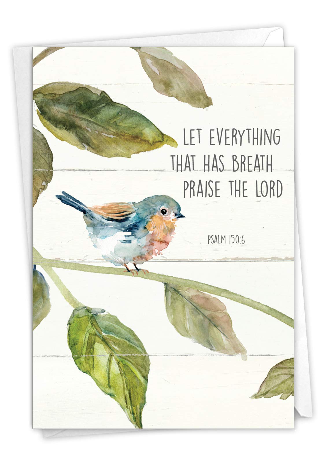 The Best Card Company - Congratulations Greeting Card with Envelope - Beautiful Appreciation, Celebration Card - Scripture Birds C7108ICGG