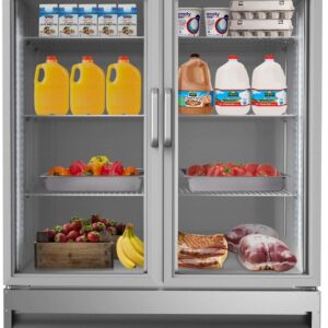 KoolMore - RIR-2D-GD 54" 2 Glass Door Commercial Reach-in Refrigerator Cooler with LED Lighting - 47 cu. ft, Stainless Steel