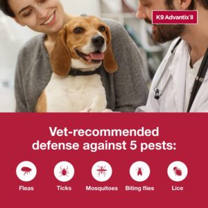 K9 Advantix II Small Dog Vet-Recommended Flea, Tick & Mosquito Treatment & Prevention | Dogs 4-10 lbs. | 1-Mo Supply