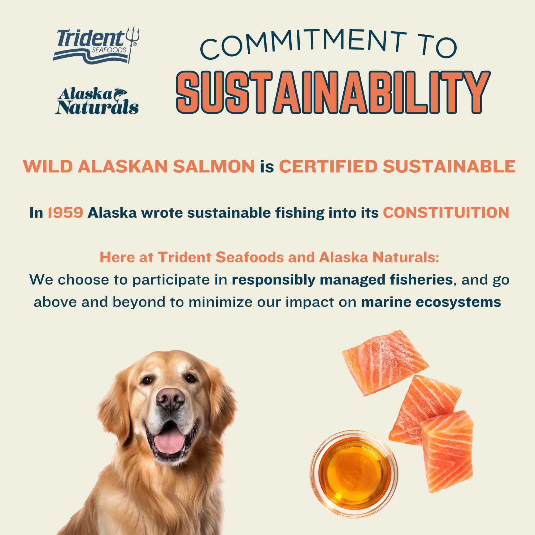 Alaska Naturals Wild Alaskan Salmon Fish Oil for Dogs Skin and Coat – EPA + DHA Omega 3 Oil - Fatty Acids Dog Supplements - Fur Coat and Brain Health - Natural Liquid Food Topper – 15.5 oz. Pump