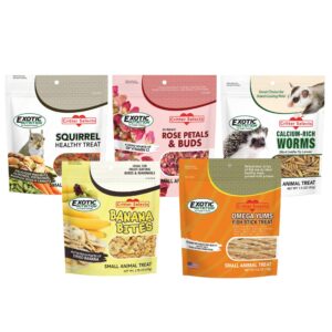 squirrel treat bundle - natural healthy assortment - fruits, veggies, nuts, & chews - flying squirrels, ground squirrels, tree squirrels, chipmunks, groundhogs, prairie dogs & other rodents