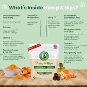 Veterinary Naturals Hemp & HIPS Joint Supplement for Dogs - 60 Soft Chews for Dog Hip and Joint Supplement with Glucosamine for Dogs, MSM, & Turmeric (Beef & Bacon)