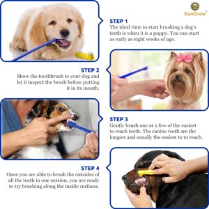 SunGrow Dog & Ferret Toothbrush Set of 4, 2 Long Dual-Headed Toothbrush and 2 Finger Brush, Blue and Yellow, Puppy, Cat, and Small Breed Dog Toothbrush, 9-Inches and 2.5-Inches