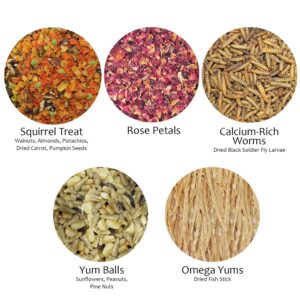 Squirrel Treat Bundle - Natural Healthy Assortment - Fruits, Veggies, Nuts, & Chews - Flying Squirrels, Ground Squirrels, Tree Squirrels, Chipmunks, Groundhogs, Prairie Dogs & Other Rodents