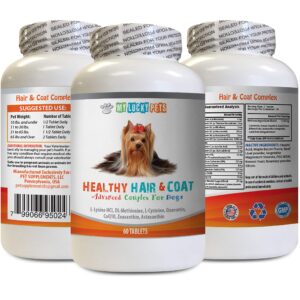 MY LUCKY PETS LLC Dog Skin Dry - Dog Healthy Hair and Coat - Shinny Coat - Skin Health - Immune Support - Nail Health - Dog Food for Immune System - 60 Treats (1 Bottle)