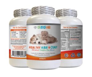 itch relief for dogs with allergies - pets healthy hair and coat - boost immune system - nail health - premium complex - dog vitamin b complex - 60 treats (1 bottle)