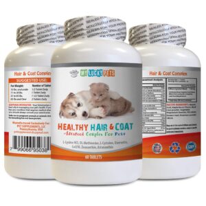 Itch Relief for Dogs with Allergies - Pets Healthy Hair and Coat - Boost Immune System - Nail Health - Premium Complex - Dog Vitamin b Complex - 60 Treats (1 Bottle)