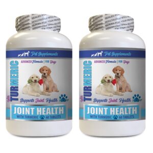 PET SUPPLEMENTS & NUTRITION LLC Dog Joint Support - Joint Health with Turmeric - MSM - GLUCOSAMINE - Hip Support - Dog glucosamine Joint Supplement - 120 Tablets (2 Bottles)