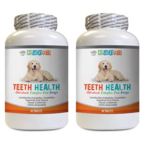 Dog Gummy Vitamins - Advanced Teeth Health for Dogs - Fights Bad Breath - Best Looking Gums and Teeth - Dog Vitamin b12 - 120 Tablets (2 Bottles)