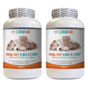 cat Skin and Coat Supplement - Pets Healthy Hair and Coat - Boost Immune System - Nail Health - Premium Complex - cat Mineral Supplement - 120 Treats (2 Bottles)