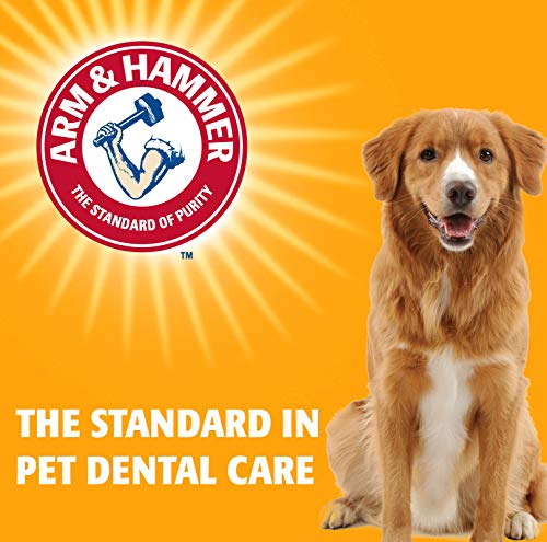 Arm & Hammer for Pets Smilies Dental Chews for Dogs | Dental Chews Fight Bad Dog Breath, Plaque & Tartar Without Brushing | Fresh Mint Flavor, 8 Pieces Dog Dental Treats, 4 Pack