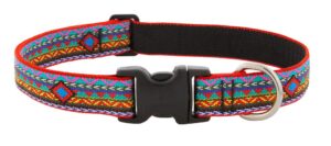 lupine dog collar 1" wide el paso design adjusts 16-28" long