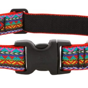 Lupine Dog Collar 1" Wide El Paso Design adjusts 16-28" Long