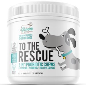 probiotic chews for dogs, support digestive health, dog probiotics and digestive enzymes, dog probiotic chews, probiotic dogs, puppy probiotic, pet probiotics for dogs - 120 soft chews