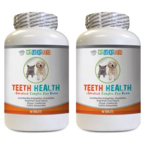 MY LUCKY PETS LLC Dog Dental Treats Large Breed - PET Teeth Health AID - Dogs and Cats - Immune Boost - Gum and Oral Care - coq10 for Dogs chewable - 2 Bottles (120 Tablets)