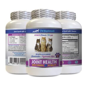 PET SUPPLEMENTS & NUTRITION LLC Joint Care for Cats - Cats Joint Health with Turmeric - MSM - Natural Support for Hip and Joints - glucosamine chondroitin Dogs and Cats - 1 Bottle (60 Tablets)