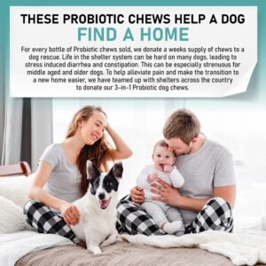 Probiotic Chews for Dogs, Support Digestive Health, Dog Probiotics and Digestive Enzymes, Dog Probiotic Chews, Probiotic Dogs, Puppy Probiotic, Pet Probiotics for Dogs - 120 Soft Chews