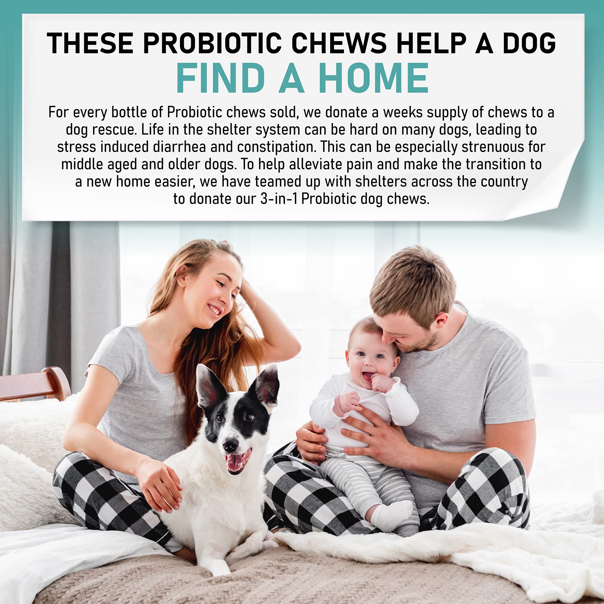 Probiotic Chews for Dogs, Support Digestive Health, Dog Probiotics and Digestive Enzymes, Dog Probiotic Chews, Probiotic Dogs, Puppy Probiotic, Pet Probiotics for Dogs - 120 Soft Chews