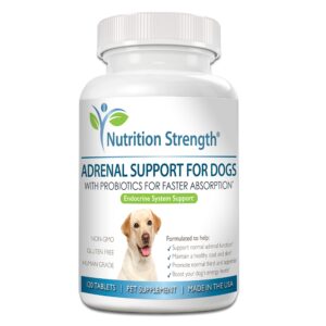 nutrition strength adrenal support for dogs, support for dogs with cushing's disease, maintain a healthy coat and skin, promote normal urination, thirst and appetite, 120 chewable tablets