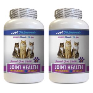 PET SUPPLEMENTS & NUTRITION LLC cat Joint Pain - Cats Joint Health with Turmeric - MSM - Natural Support for Hip and Joints - glucosamine chondroitin Dogs and Cats - 2 Bottles (120 Tablets)