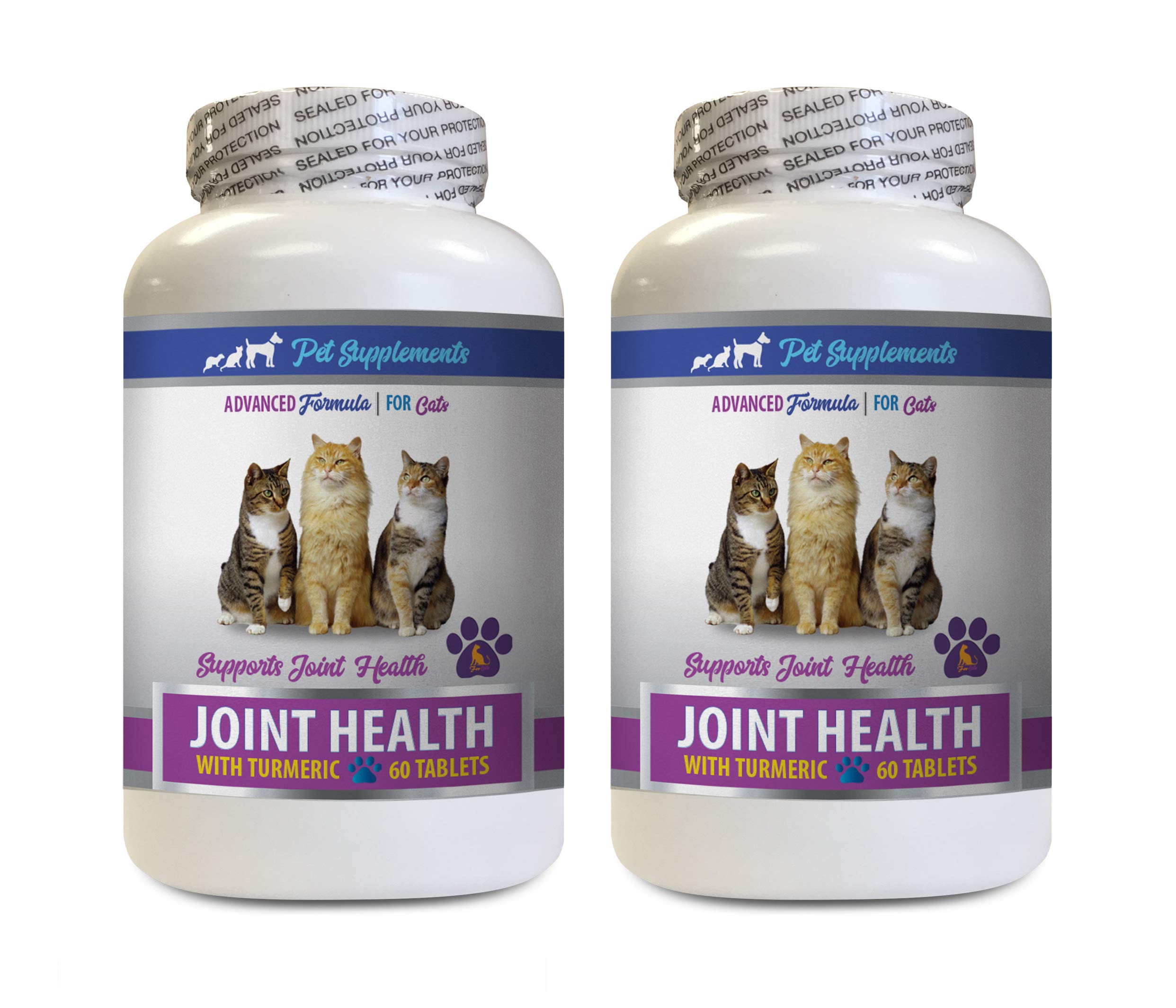 PET SUPPLEMENTS & NUTRITION LLC cat Joint Pain - Cats Joint Health with Turmeric - MSM - Natural Support for Hip and Joints - glucosamine chondroitin Dogs and Cats - 2 Bottles (120 Tablets)